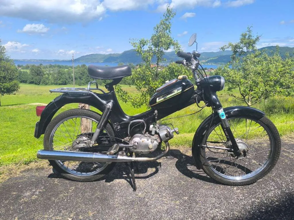 Puch MV 50 Moped / Mofa - willhaben