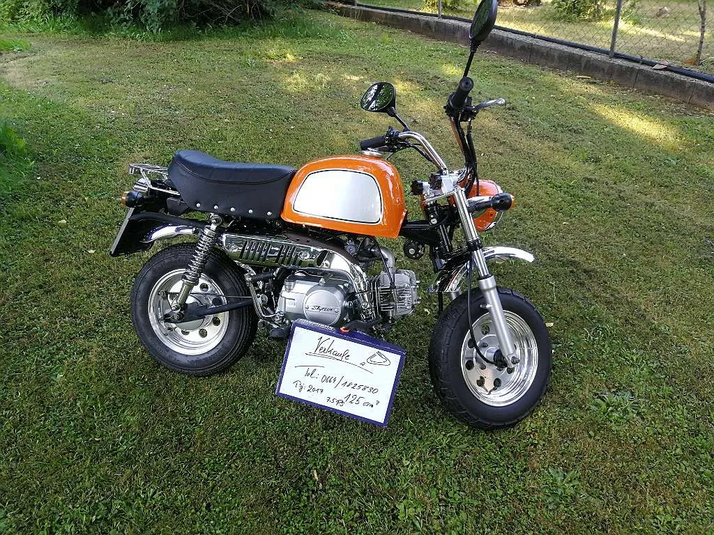 Skyteam Gorilla Skyteam Gorilla 125 Pocket Bike - willhaben