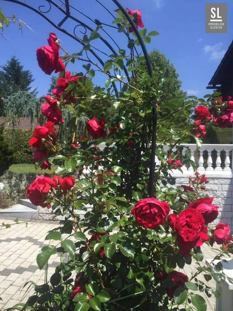 Großer Pool - PV Anlage - schöne Gartenanlage - DER besondere Bungalow ...