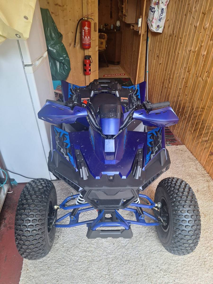 XTL Tyrannosaurus Quad - willhaben