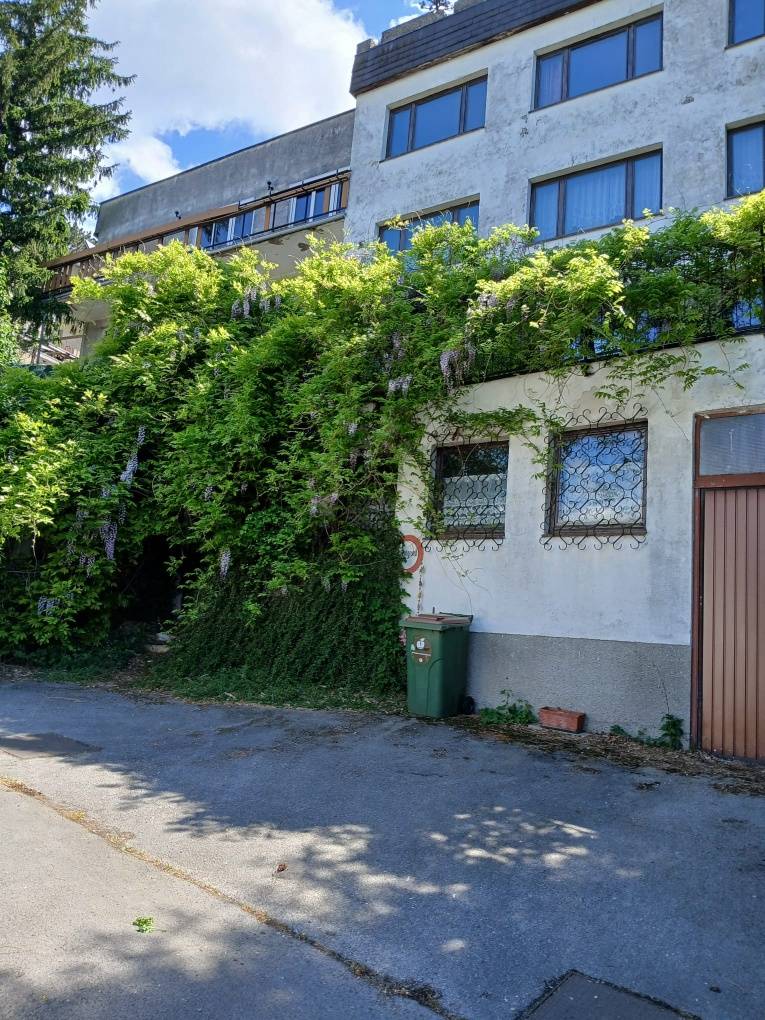 Idyllische Ferienwohnung/ -haus im Westen Wiens mit atemberaubenden ...