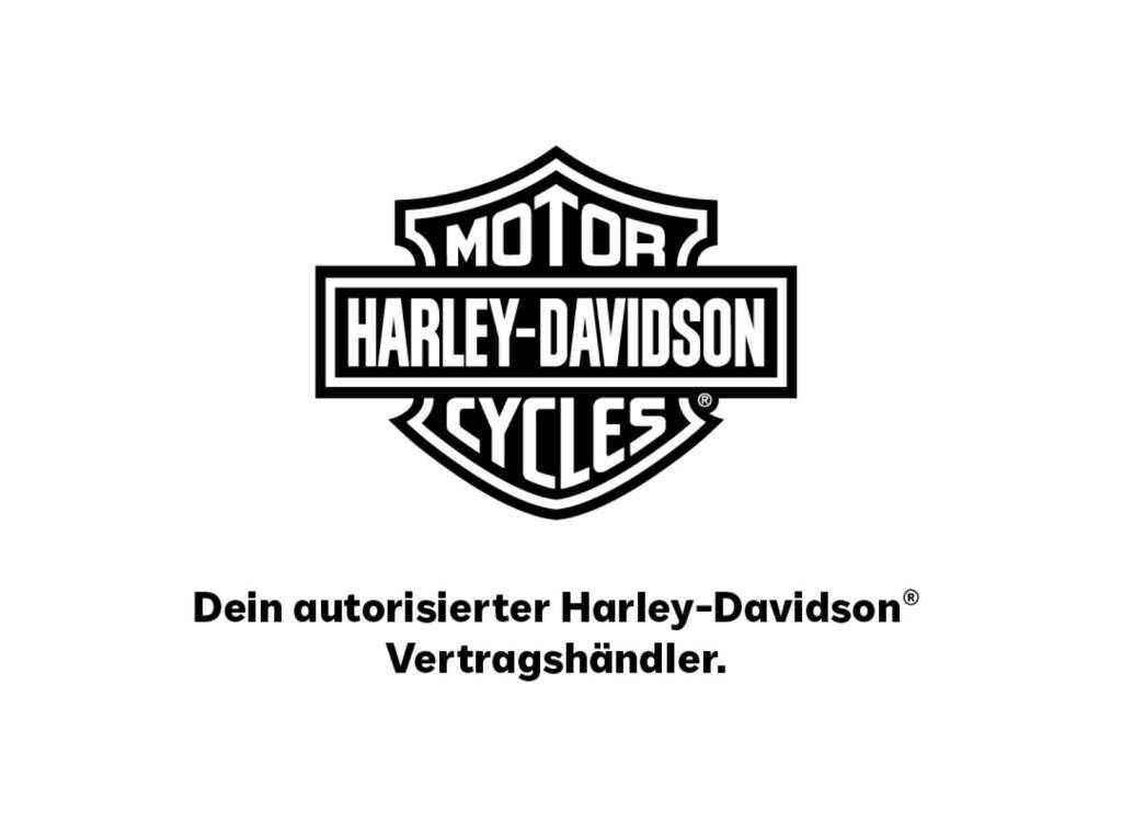 Harley-Davidson Softail Fat Bob 114 Naked Bike - willhaben