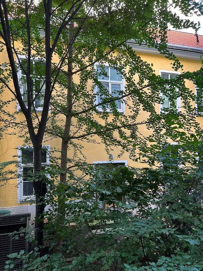 Charmante 2-Zimmer-Wohnung im 8. Bezirk, 59 m², € 1.000,-, (1080 Wien ...