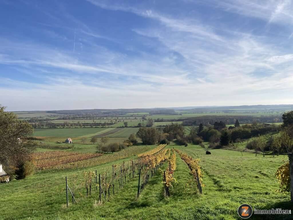 Rechnitzer Weinberge: Landhaus in herrlicher Aussichtslage!, 95 m², € ...