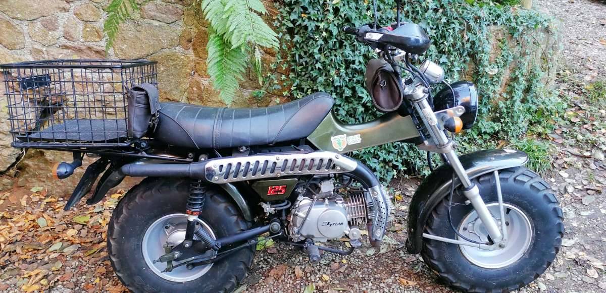 Skyteam Skyteam T-Rex 125 Tauschmotor Moped / Mofa - willhaben