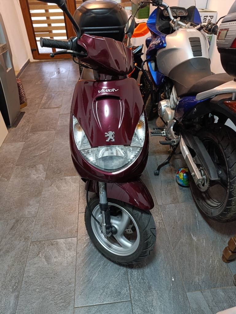 Peugeot Vivacity Moped / Mofa - willhaben