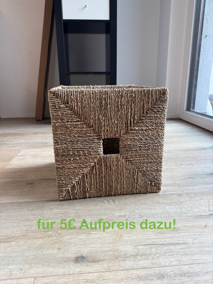 IKEA KALLAX Regal mit Türeneinsatz, € 30,- (1140 Wien) - willhaben