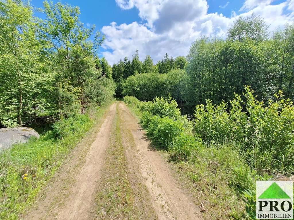 25,12 ha Wald, Wiesen Teich umgeben das ehemalige Bauernhaus, den ...