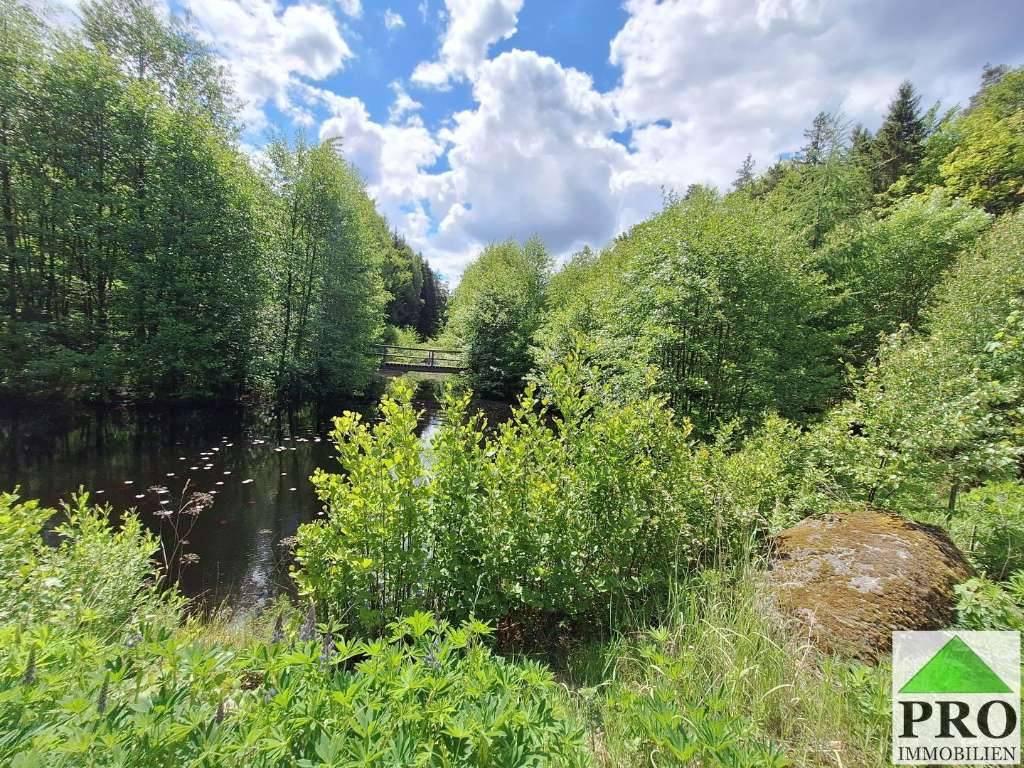 25,12 ha Wald, Wiesen und 2 Teiche umgeben das ehemalige Bauernhaus ...