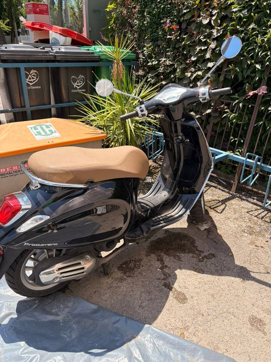 Vespa Primavera Moped / Mofa - willhaben