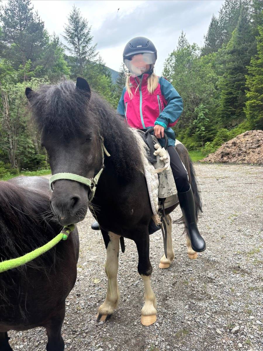 Pony Wallach und mini Shetty Stute, € 2.200,- (6741 Raggal) - willhaben