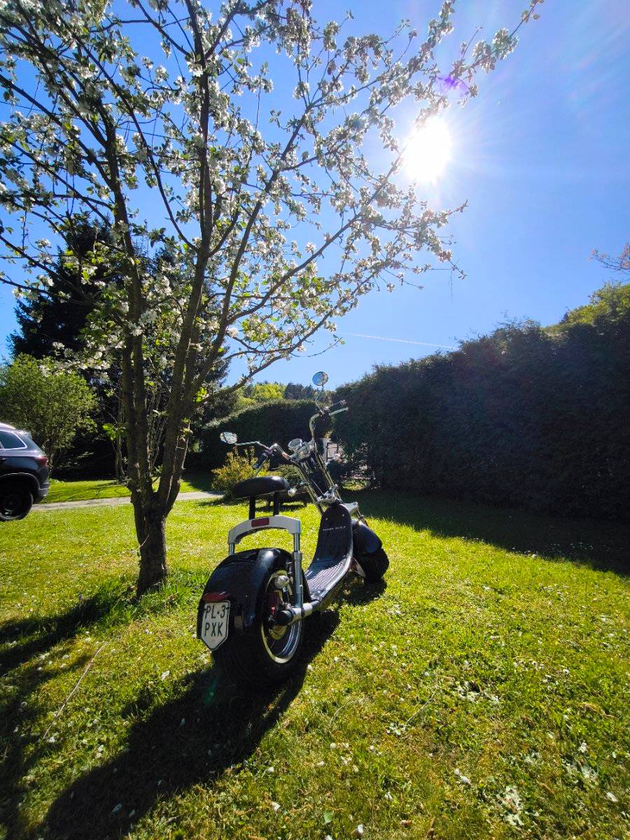 Dogebos Chopper E-mofa retro Chopper / Cruiser - willhaben