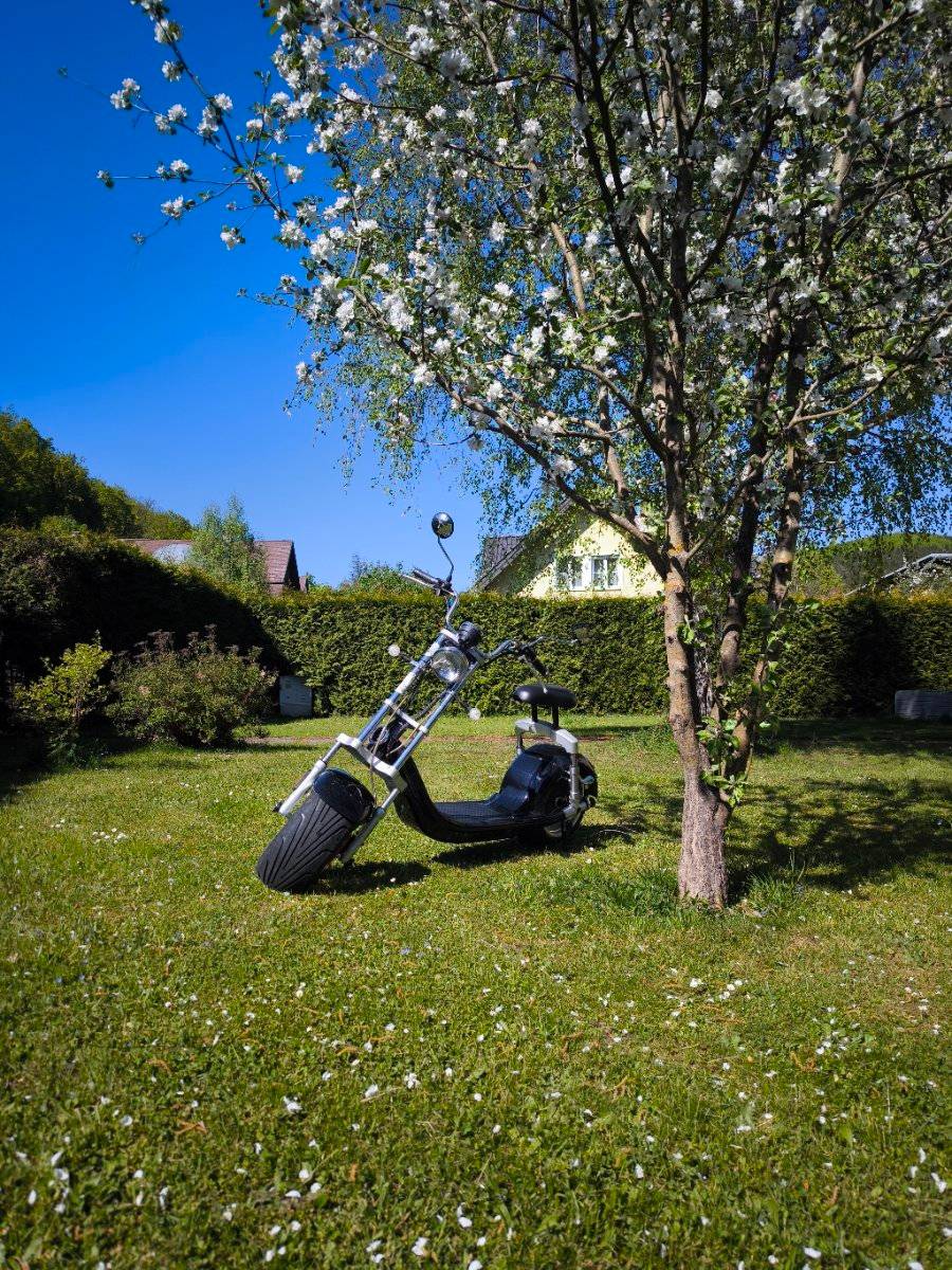Dogebos Chopper E-mofa retro Chopper / Cruiser - willhaben