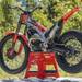 Beta Evo Sincro Vorführer 300ccm Trial - willhaben