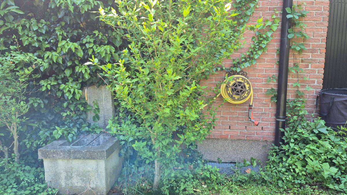 Schlauchabroller Trelly, € 65,- (2380 Perchtoldsdorf) - willhaben