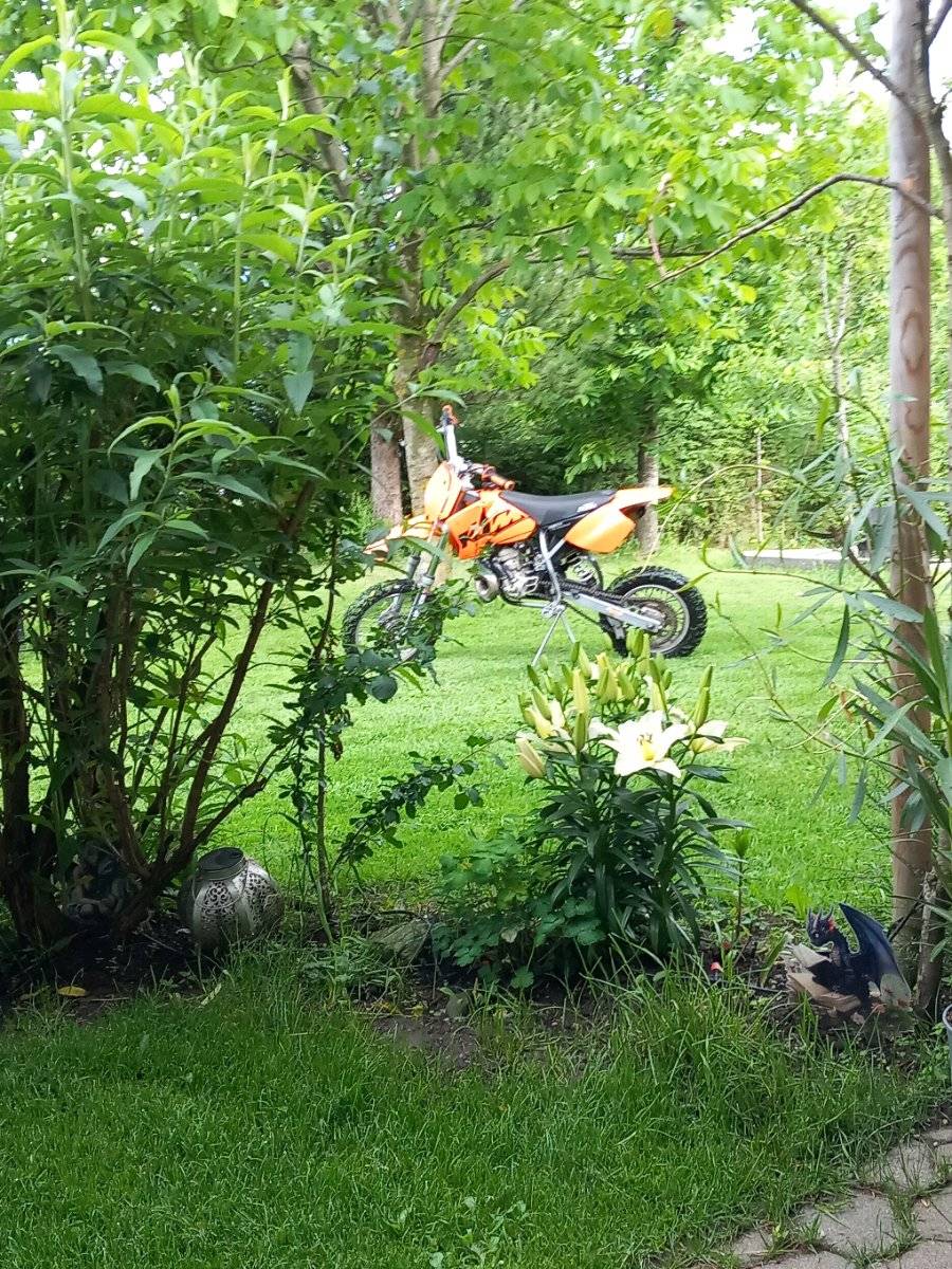 KTM SX 50 Motocross - willhaben