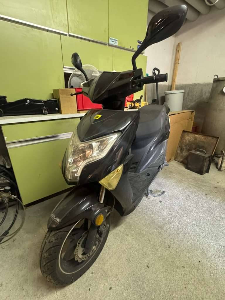 Beeline LJ50QT-2L-03 Roller / Scooter - willhaben