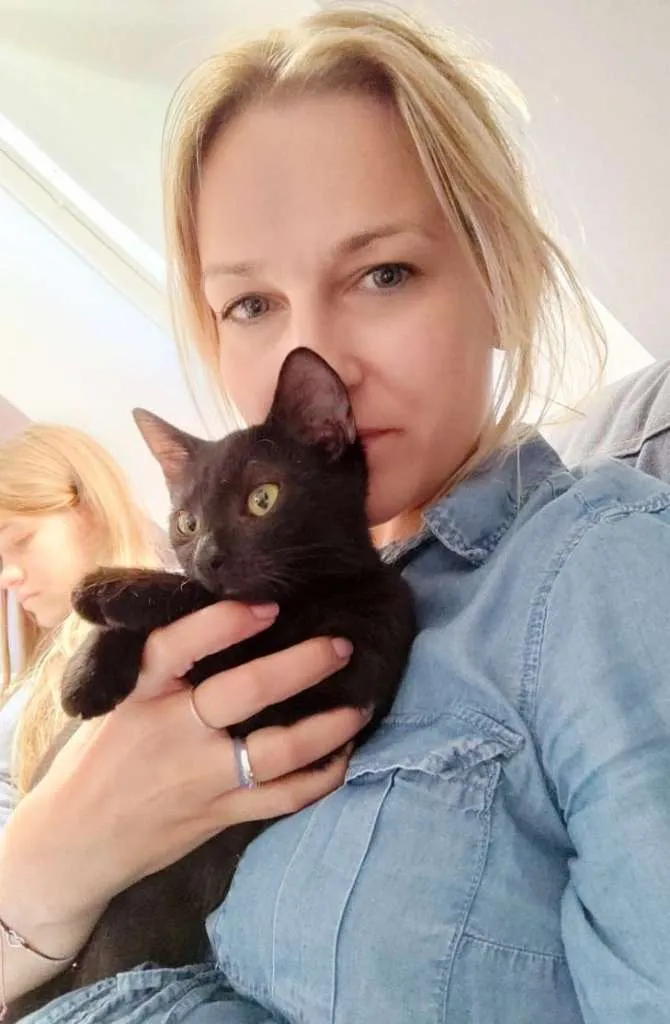 SOS! Extremst liebe Schmusejungkater Tommy und Benjamin suchen ...