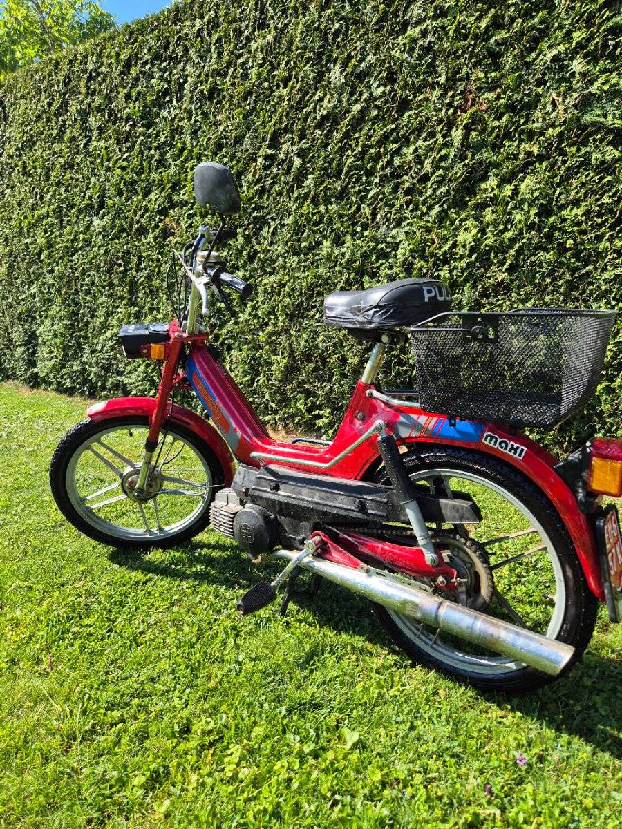 Puch Maxi Moped / Mofa - willhaben