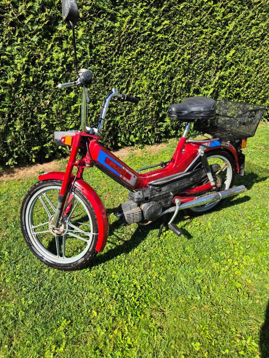 Puch Maxi Moped / Mofa - willhaben