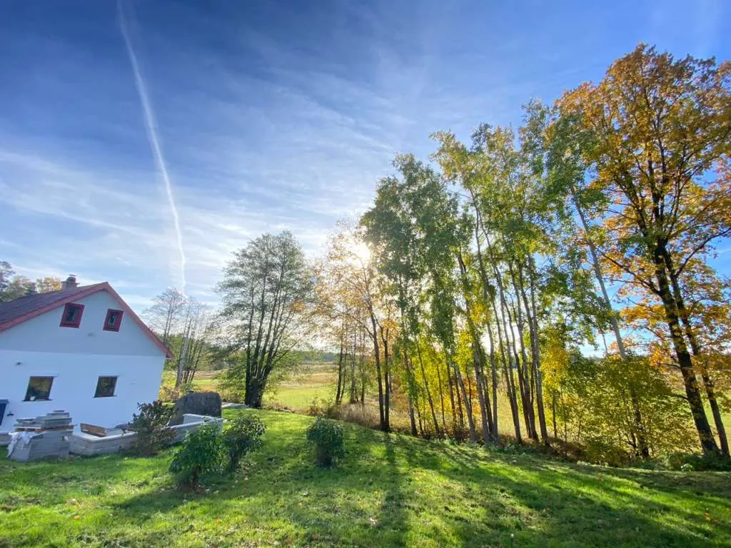 Kleines Haus In Der Natur Kaufen