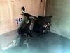 Puch Typhoon TEC1T Roller / Scooter - willhaben