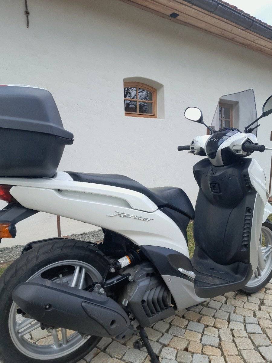 Yamaha Xenter Roller / Scooter - willhaben