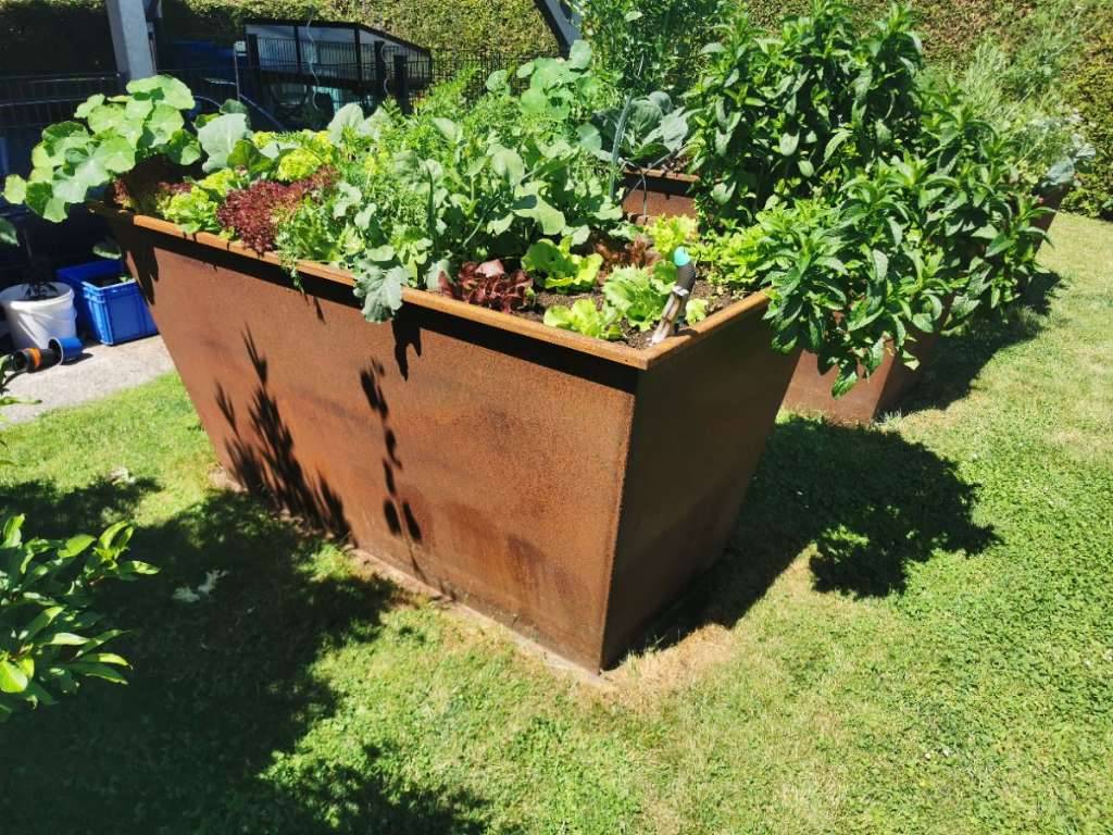 Hochbeet Stahlblech, € 500,- (3363 Hausmening) - willhaben