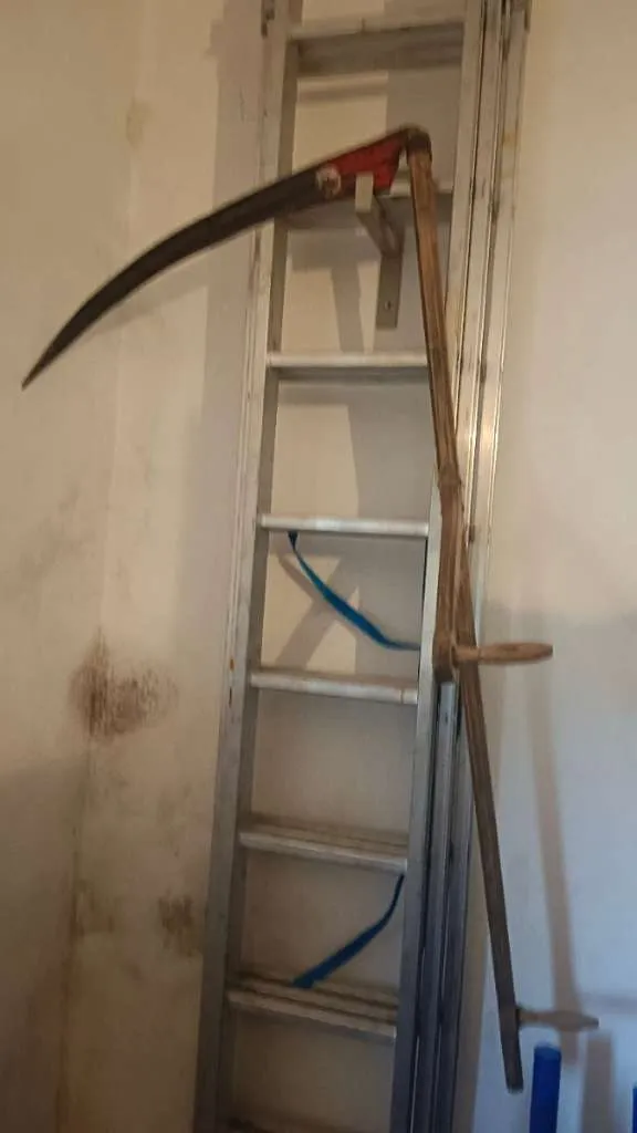 Sense mit Wetzstein, € 25,- (8255 Sankt Jakob im Walde) - willhaben