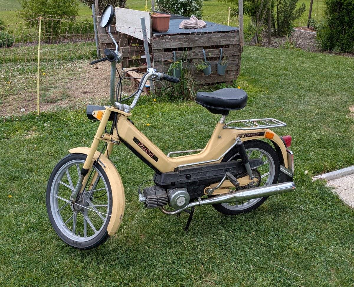 Puch Maxi S Moped / Mofa - willhaben