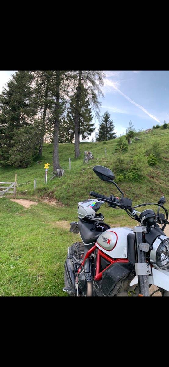Ducati Scrambler Desert Sled - willhaben