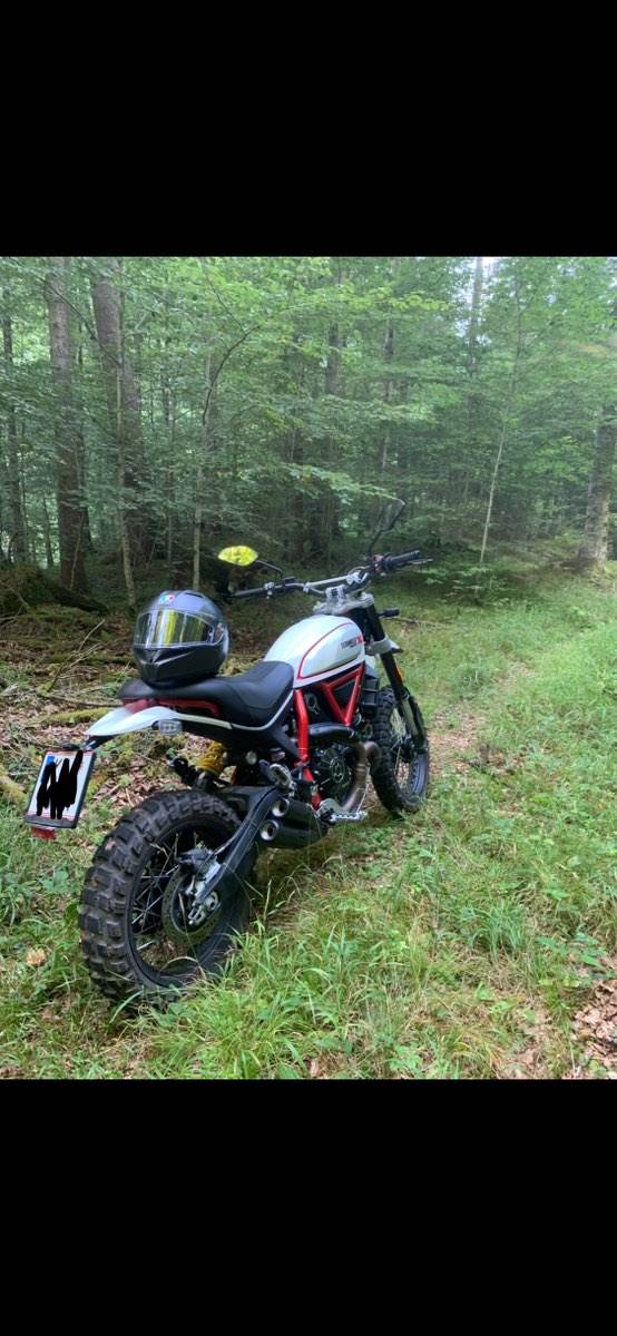 Ducati Scrambler Desert Sled - willhaben