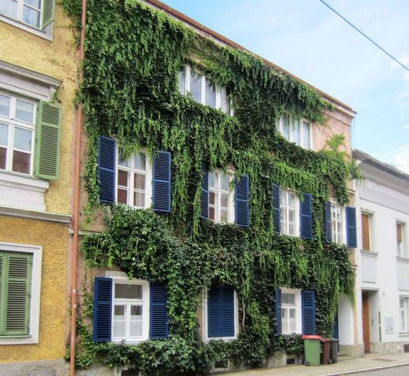 138 m² provisionsfrei / Ruhelage / Balkon / viel Grün / Uninähe / 3-4er ...