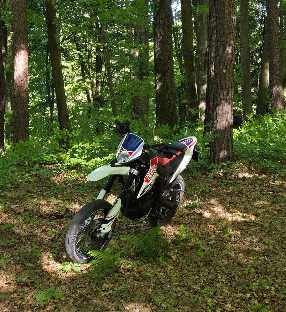 Aprilia SX 125 Supermoto - willhaben