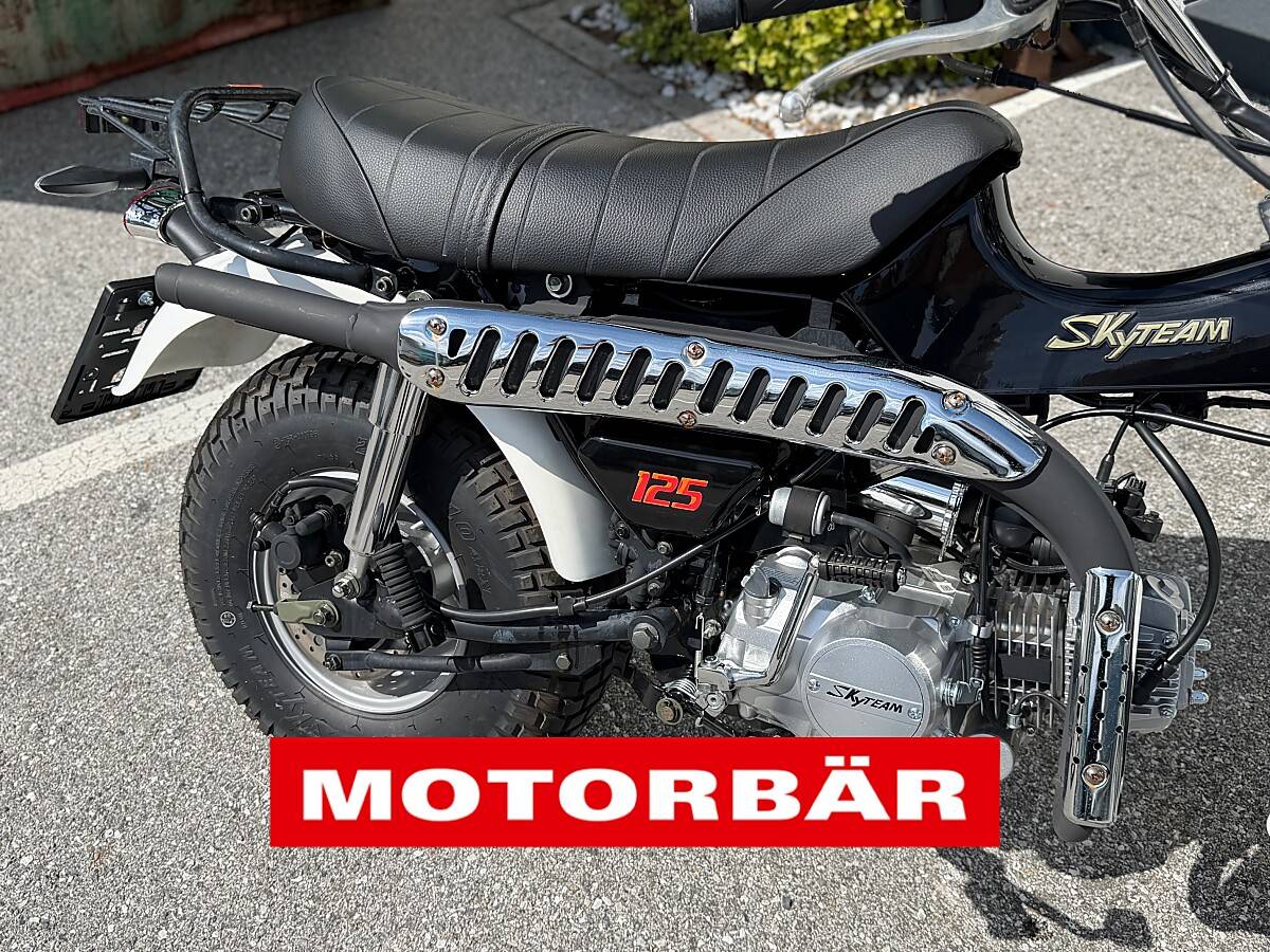 Skyteam T-Rex Naked Bike - willhaben