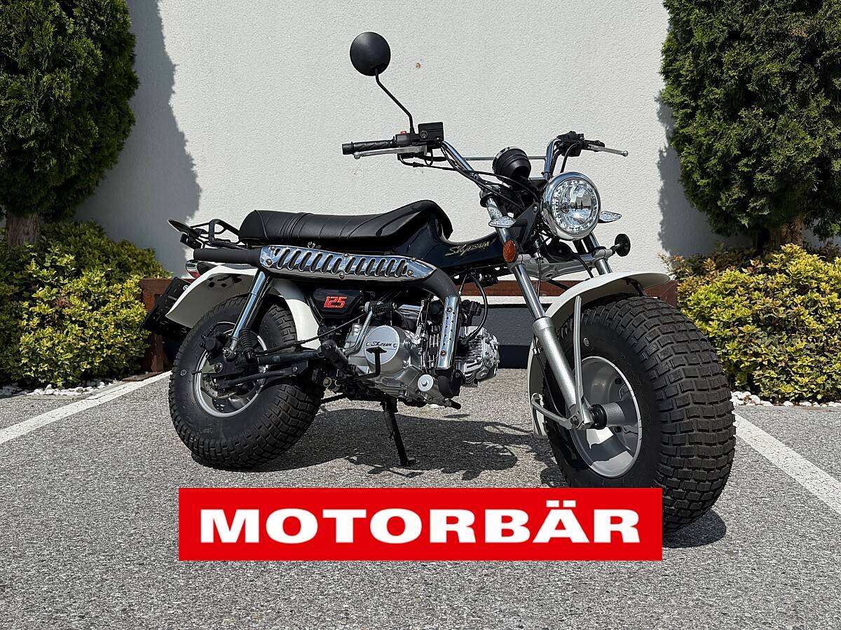 Skyteam T-Rex Naked Bike - willhaben