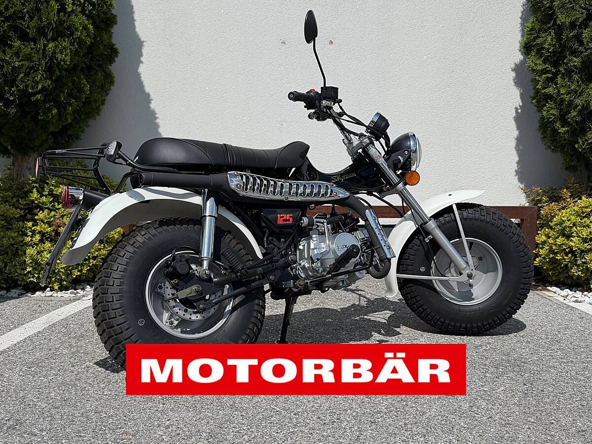 Skyteam T-Rex Naked Bike - willhaben
